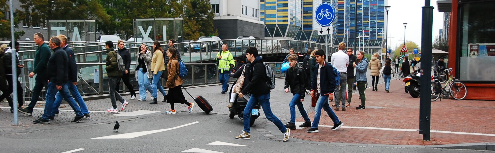 Knooppunt Leiden gezien vanuit de voetganger - Voetgangersbeweging ...
