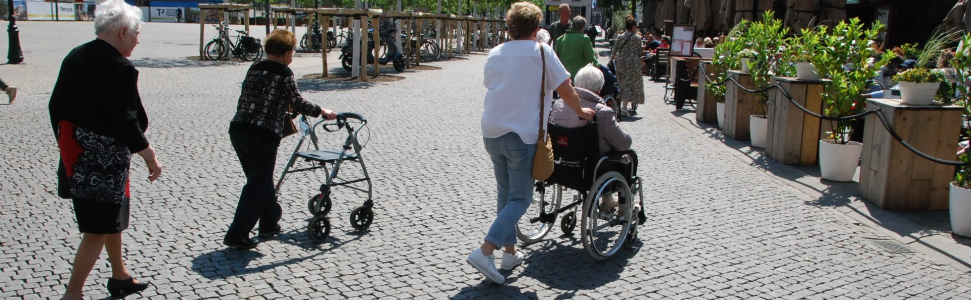 Nationaal Masterplan Lopen - Voetgangersbeweging Nederland